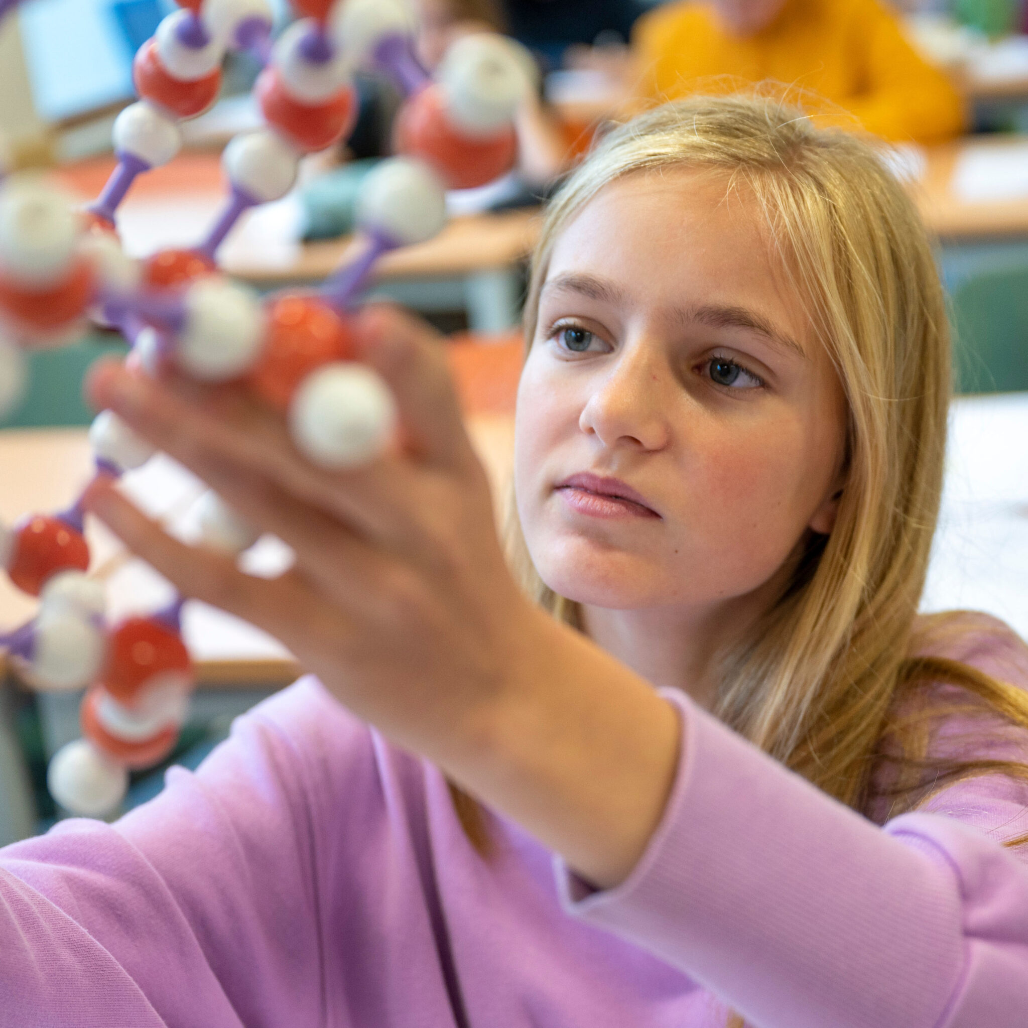 BVS – schooladvies voor vrijeschool onderwijs PO en VO – Advies ...